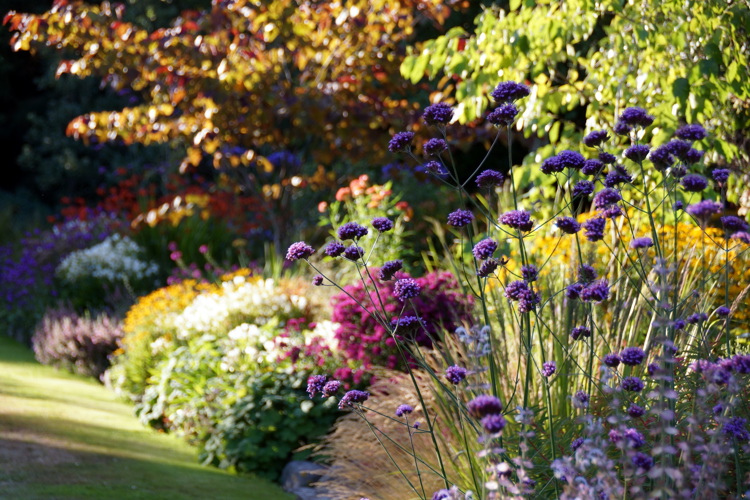 Gardens to visit - Blue House Amberley