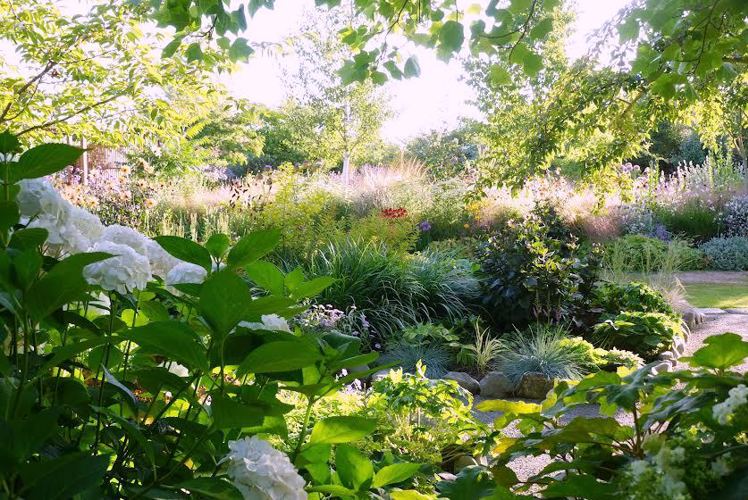 Gardens to visit - Blue House Amberley