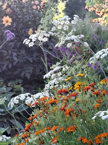 Gardens to visit - Blue House Amberley