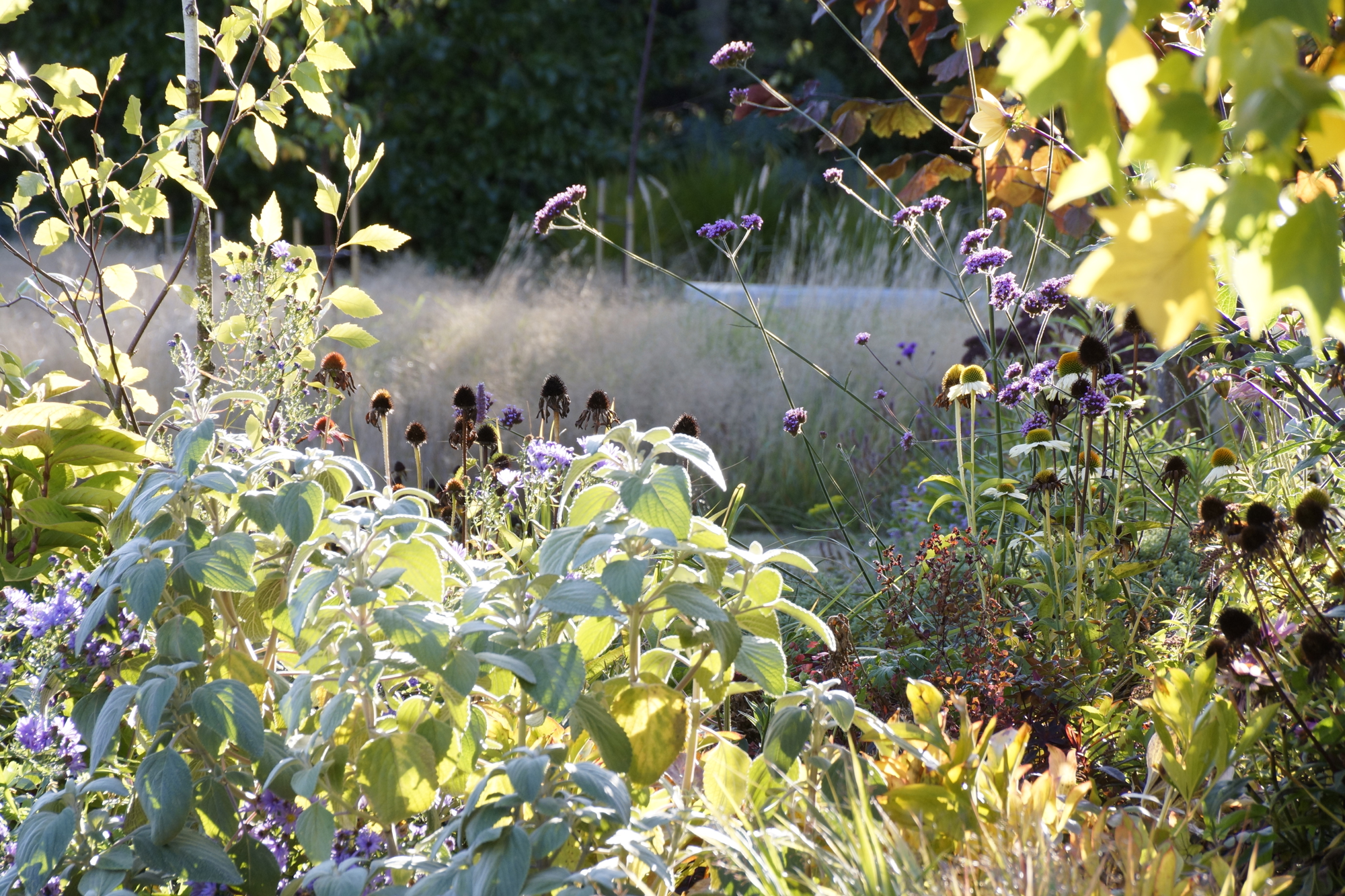 Gardens to visit - Blue House Amberley