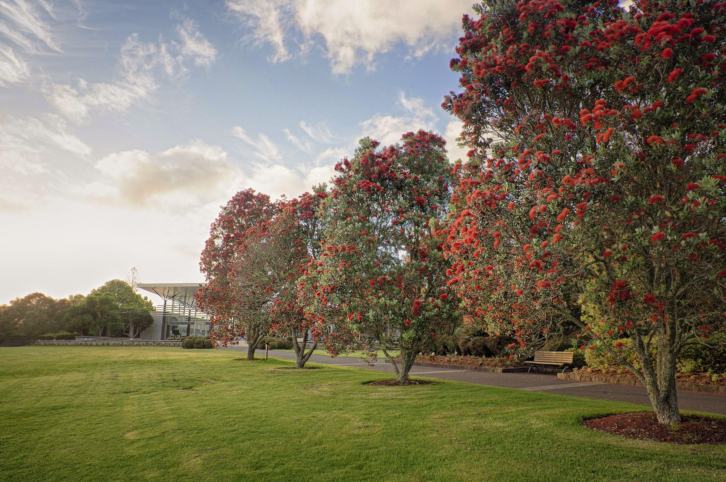 Gardens to visit - Auckland Botanic Gardens