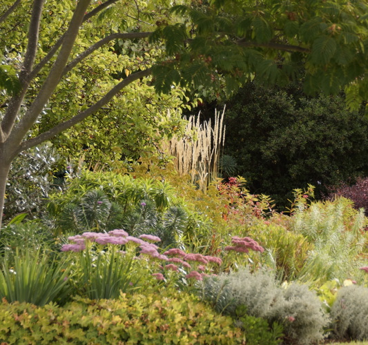 Gardens to visit - Blue House Amberley