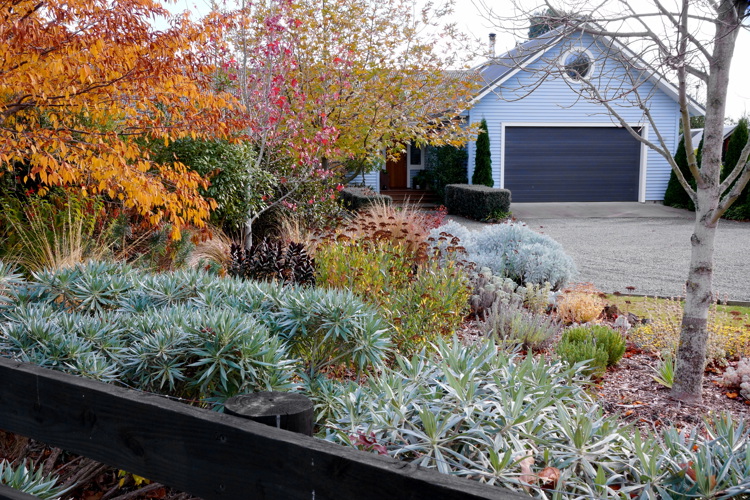 Gardens to visit - Blue House Amberley