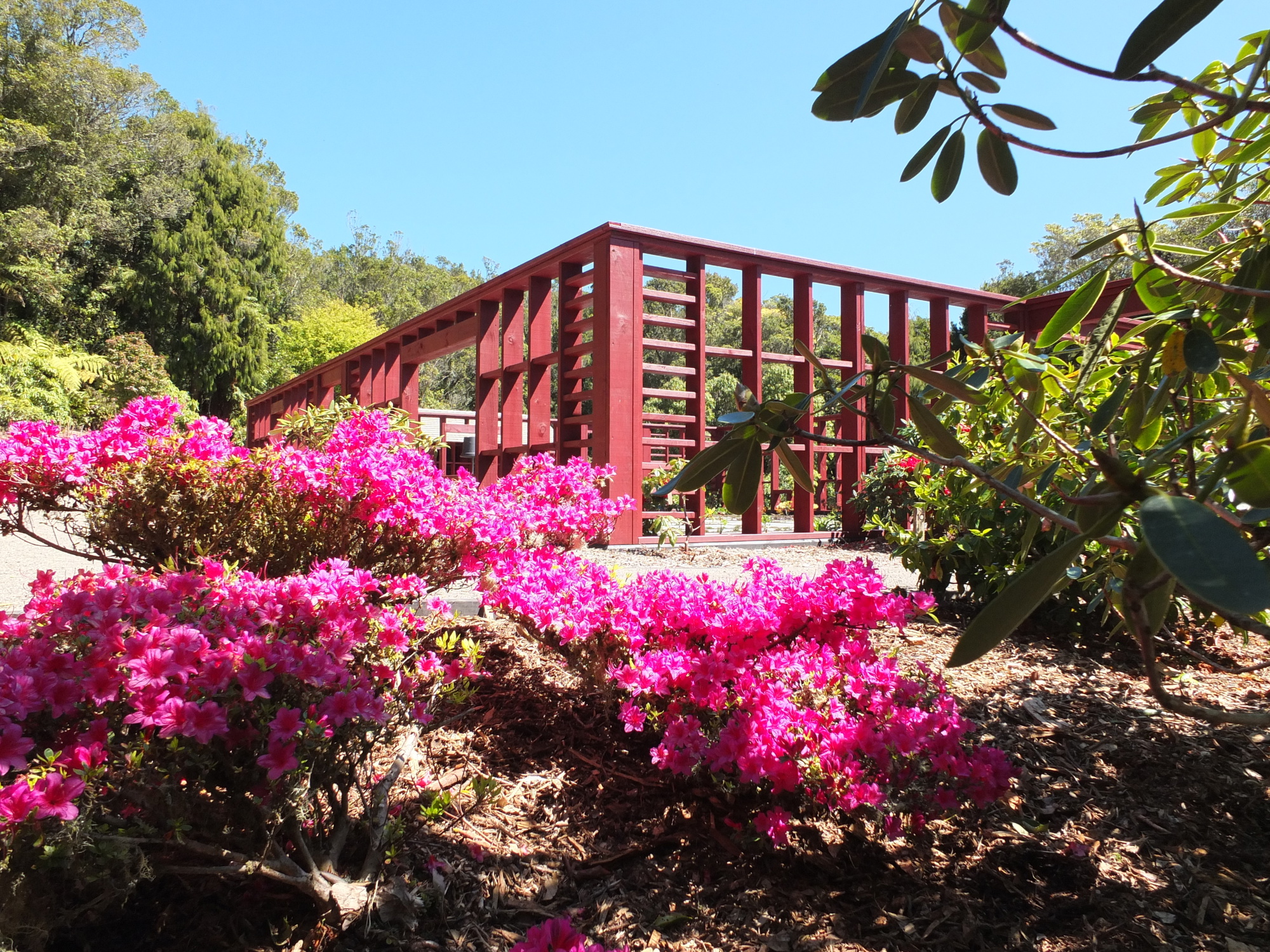 Gardens to visit - Centuria Taranaki Garden Festival