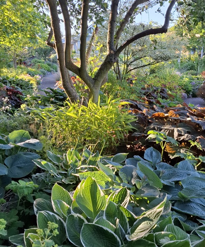 Gardens to visit - Blue House Amberley