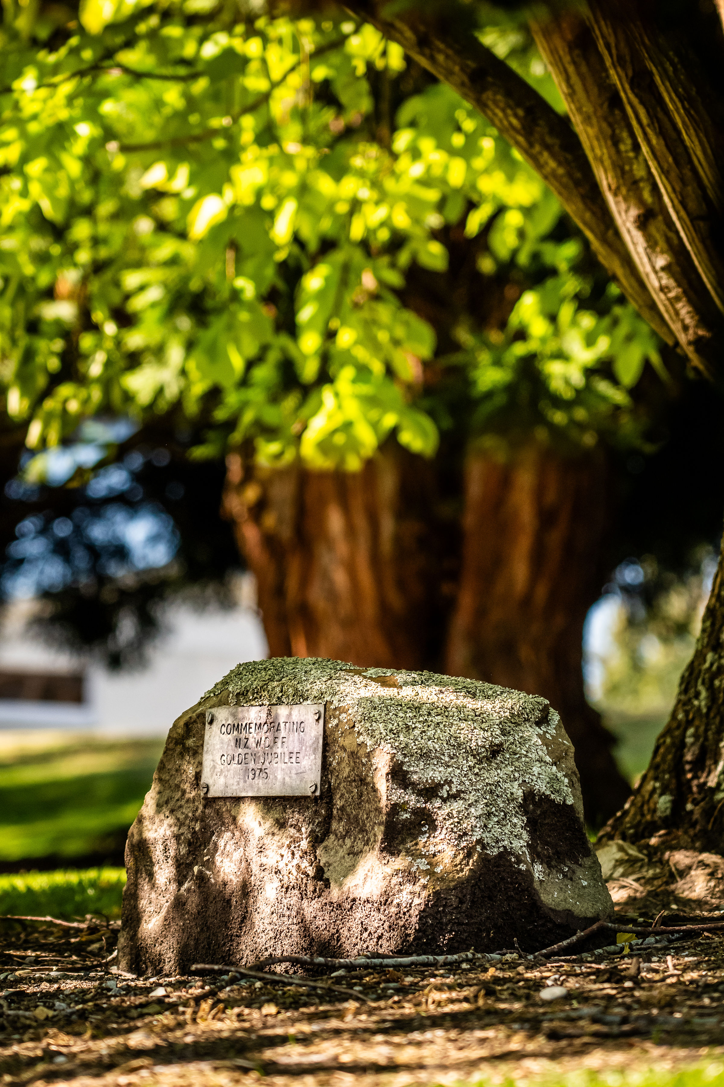 Gardens to visit - Bannerman Park