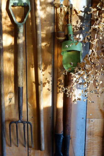 Gardens to visit - Blue House Amberley
