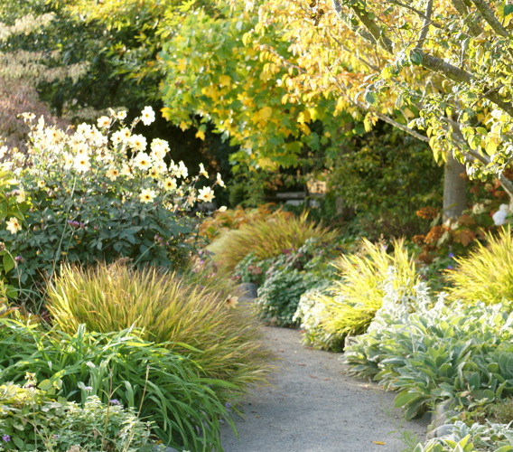 Gardens to visit - Blue House Amberley
