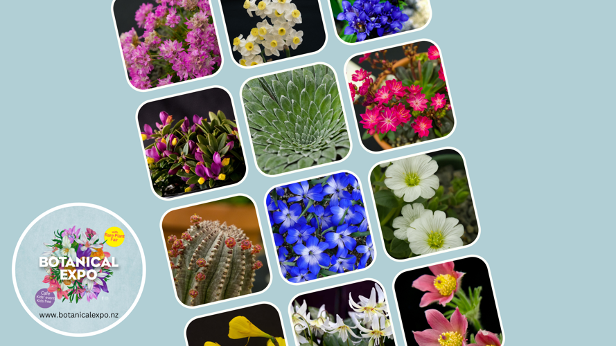 Gardens to visit - Botanical Expo