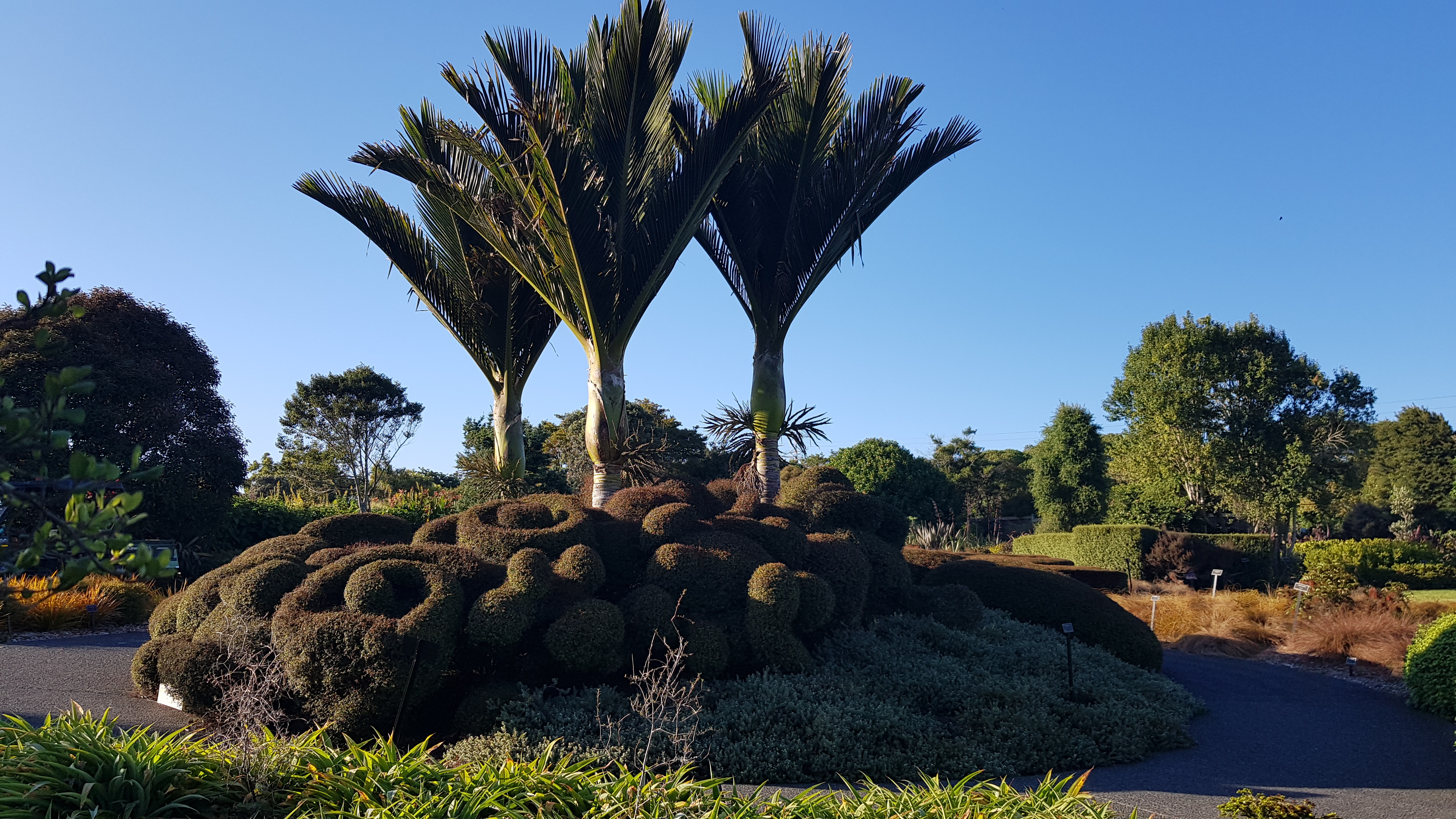Gardens to visit - Auckland Botanic Gardens